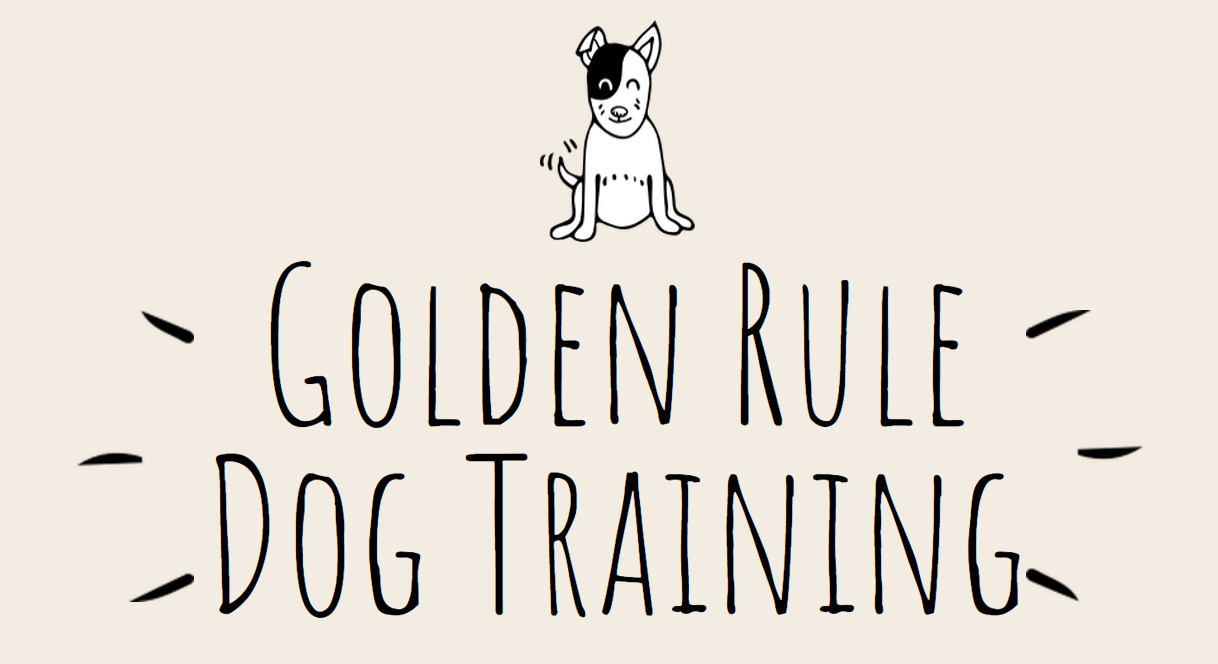 Golden Rule Dog Training - NorCal GSP Rescue