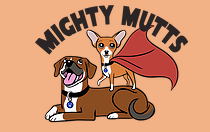 Mighty Mutts Dog Training - NorCal GSP Rescue