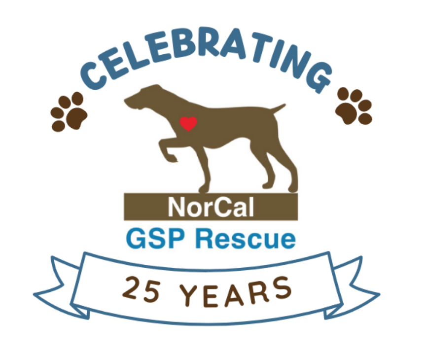 Wags & Wine - NorCal GSP Rescue
